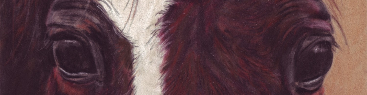 cropped-horse-21.jpg | Art Starts