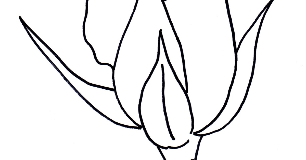 How To Draw A Rose Bud Art Starts