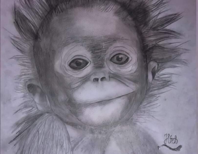 Baby monkey's bad hair day - Art Starts