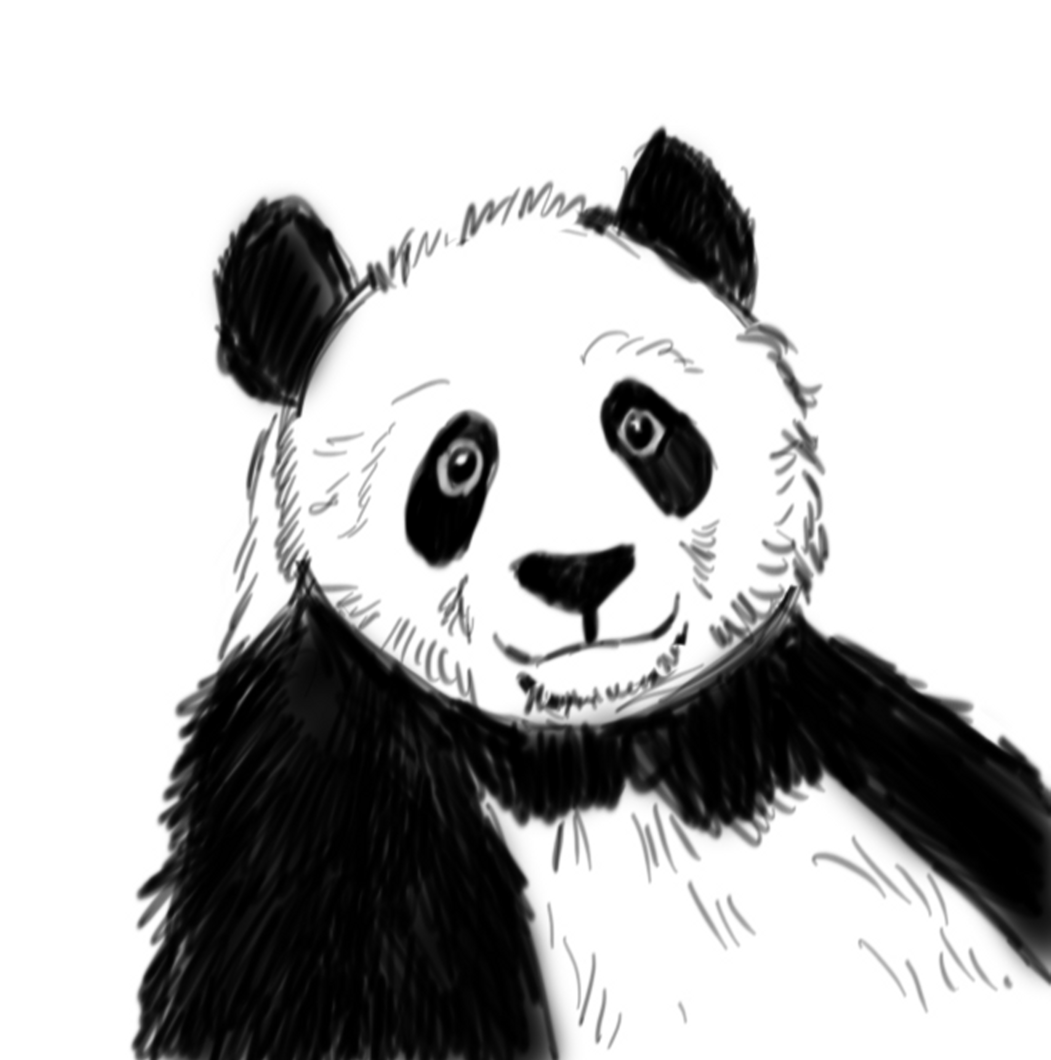 Panda Drawing Step By Step Art Starts Panda Drawing Step By Step Art Starts