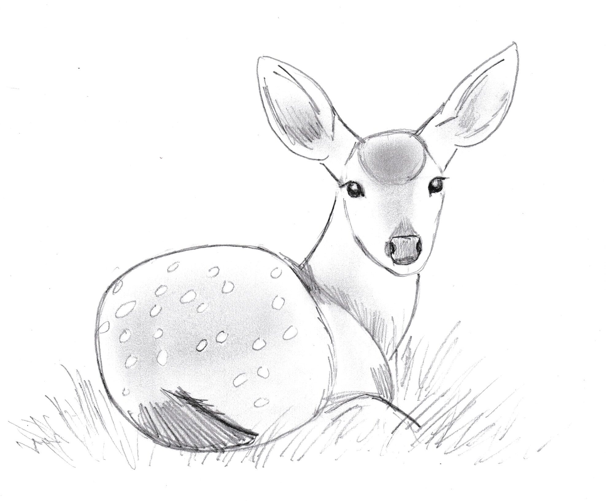 Getting Started Drawing in Pencil - Art Starts